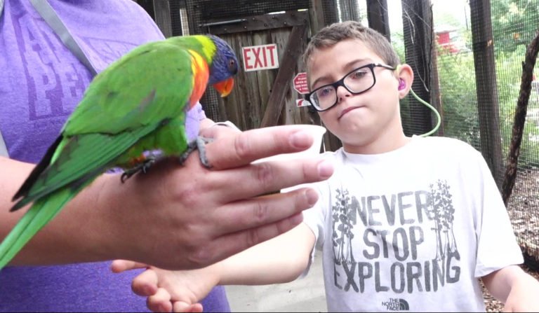 Capper Foundation - Capper Foundation