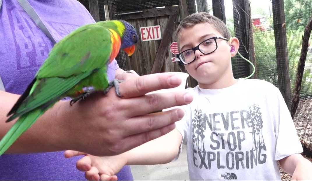 Capper Foundation - Capper Foundation