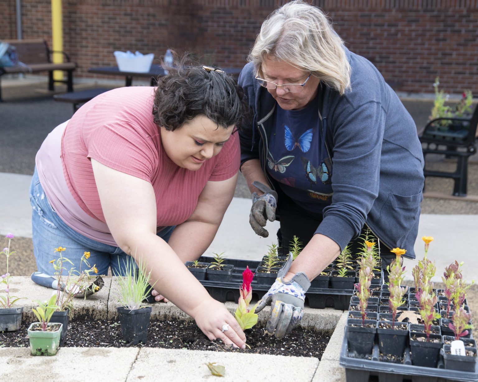 Adult Services - Capper Foundation